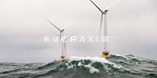 EVERAXIS INDUSTRIES - Annemasse